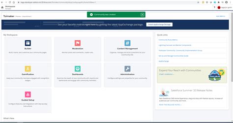 Salesforce Application Architect