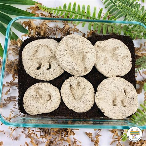 Make Your Own Fossils Pre K Printable Fun