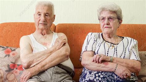 Parasitology Research Stock Image C0404942 Science Photo Library