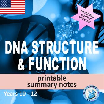 DNA Structure And Function Summary Notes US Edition TpT