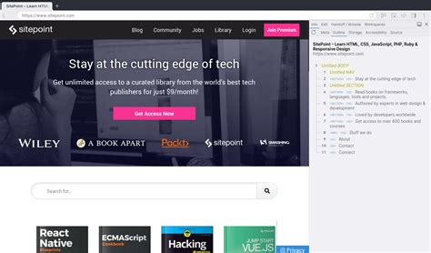 Find And Fix Accessibility Issues With Polypane Polypane