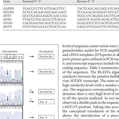 primer pair sequences utilised in realtime pcr analysis and their