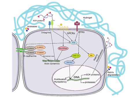 Publications Guosheng Tang Research Group