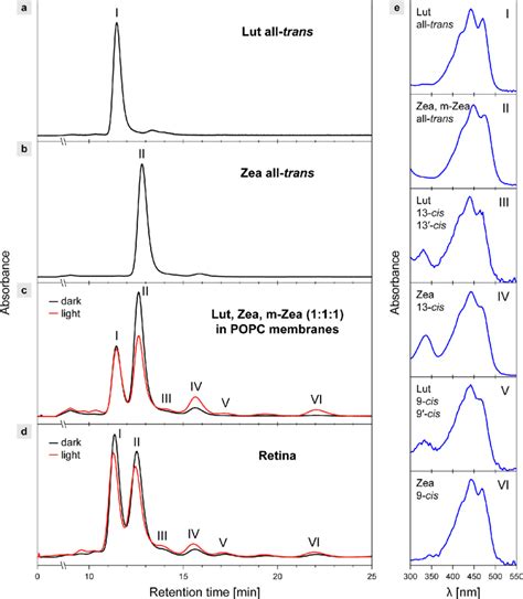 Xanthophyll Absorption Spectrum At Becky Craig Blog