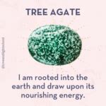 Healing Properties Of Tree Agate A Crystal For Grounding Nature Love Light Babe Of