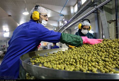 هفت پروانه کاربرد علامت استاندارد اجباری و حلال در زنجان صادر شد ایرنا