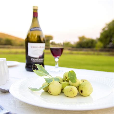 Bush Lovers Lodge Rooms