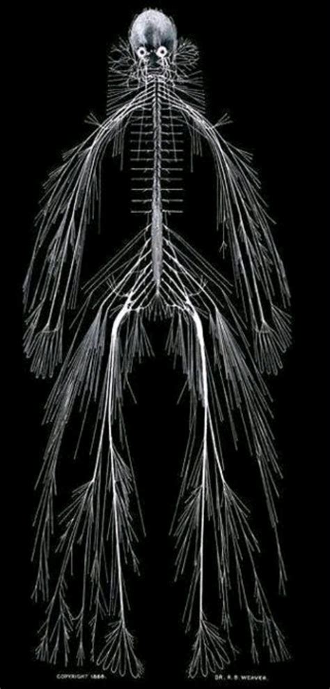 Eman Hany Posted On Linkedin