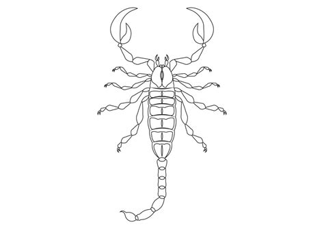 Black And White Scorpion Clipart Vector Isolated On White Background