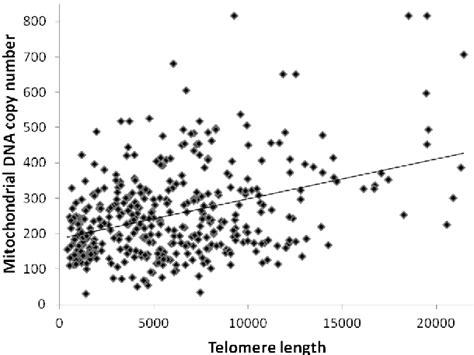 Figure 1 From Association Of Telomere Length And Mitochondrial Dna Copy Number In A Community