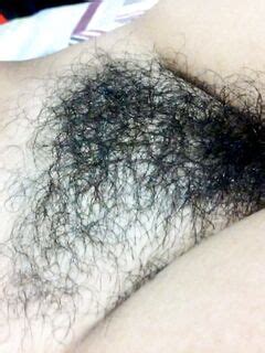 La Mia Figa Pelosa Foto Porno Amaporn
