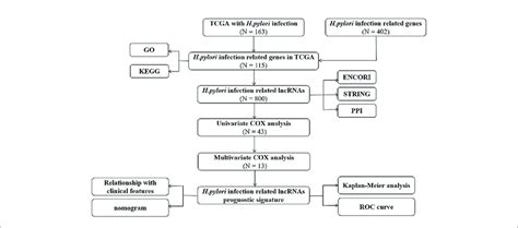 Flowchart Of Construction And Validation Of Lncrna Signature And