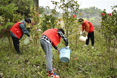 春风十里正植有你建筑工程学院植树节开展爱绿护绿实践活动 建筑工程学院