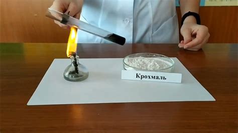 Лабораторний дослід 14 Взаємодія крохмалю з йодом 9 клас Youtube