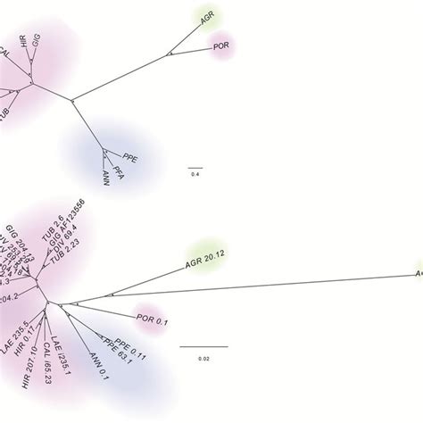 A Dendrogram Obtained By A Hierarchical Clustering Analysis Based On