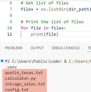 How To List Files In A Directory With Python