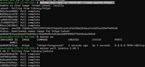 Adhithyan S On Linkedin 10daysofdocker Docker Apache Devops Portforwarding Dockerhub…