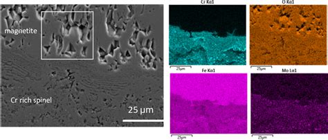 Bse Micrograph And Corresponding Cr O Fe And Mo Eds Maps Showing