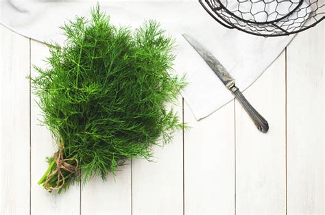 흰색 나무 테이블 상단보기에 칼과 딜의 무리와 도마에 신선한 딜 신선한 채소 조미료 요리 요리 과정 건강한 라이프 스타일 갈색에 대한 스톡 사진 및 기타 이미지 Istock