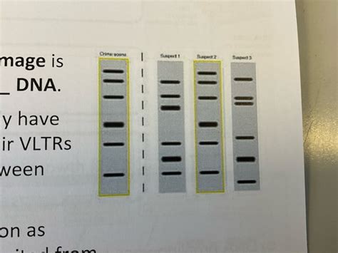 Manipulating Genomes Flashcards Quizlet