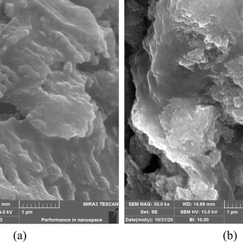Sem Micrographs Of Ac Alginate Fe3o4 Composite Adsorbent A Before And Download Scientific