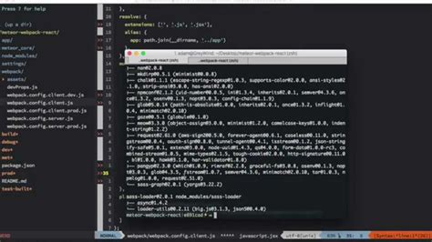 Using Webpack With Meteor Youtube