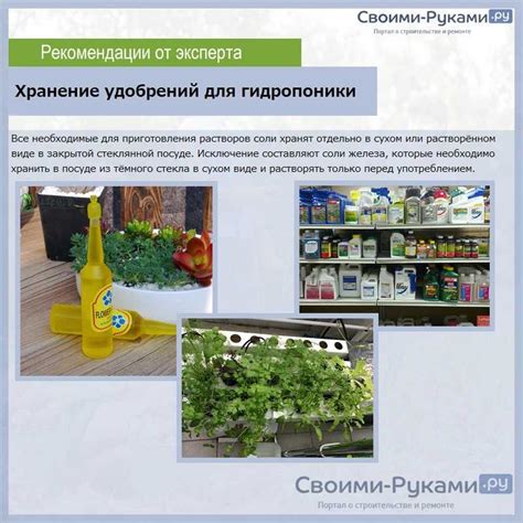Раствор для гидропоники: как готовить, потребности растений