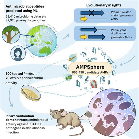 discovery of antimicrobial peptides in the global microbiome with