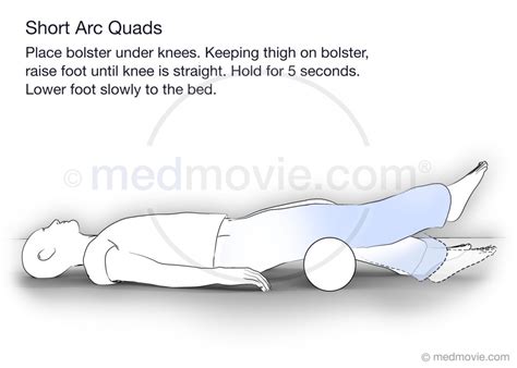 Short Arc Quad Exercise