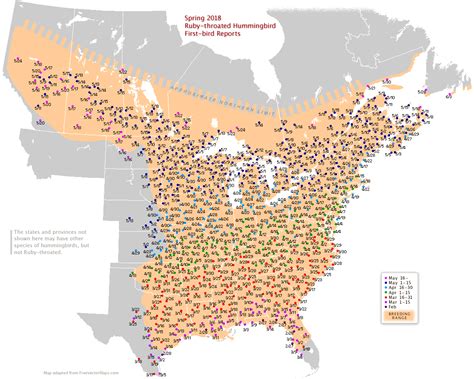 Ruby Throated Hummingbird Migration