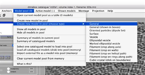 Filetemplatematchingtomoslicemodelpng Dynamo