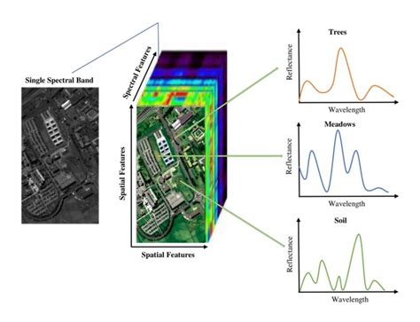 Revolutionising Environmental Assessments With Hyperspectral Imaging
