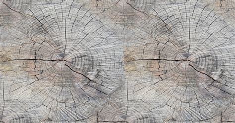 Tree Log Texture To Download ManyTextures