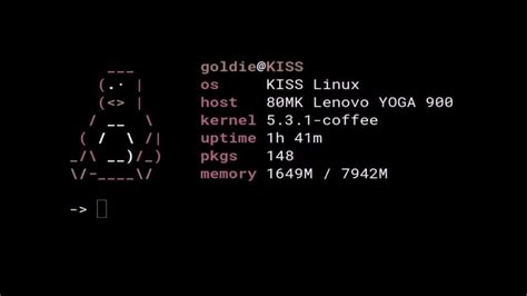 pfetch screenfetch neofetch and fastfetch useful cli tools