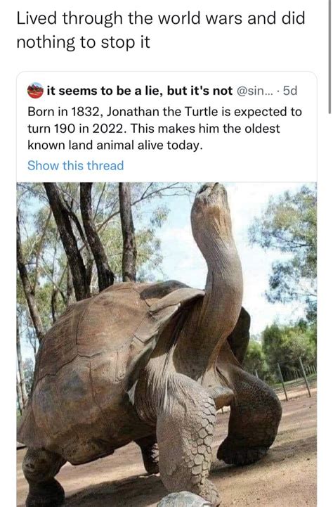 Plot Twist He Started Them Rtechnicallythetruth