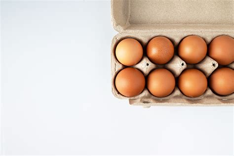 닭고기 달걀은 흰색 배경 복사 공간 슈퍼마켓 제품의 골판지 상자에 놓여 있습니다 갈색에 대한 스톡 사진 및 기타 이미지 갈색 계란상자 노랑 Istock