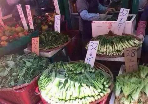 珠海菜价为什么贵珠海物价食物多贵珠海蔬菜大山谷图库
