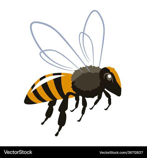 Bee 001 Royalty Free Vector Image Vectorstock Bee 001 Royalty Free Vector Image Vectorstock