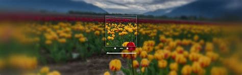 How To Blur An Image In Photoshop Blur Types Photoshop Blur Photoshop Beginner Photoshop