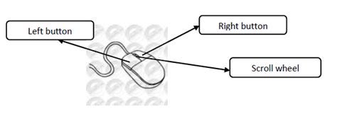 Label The Parts Of A Computer Mouse Computer Parts Interactive Activity For 1st Jonas Carlsen