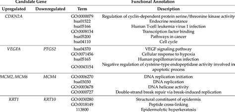 The Expression Regulation Of Candidate Genes And Their Functional Download Scientific Diagram