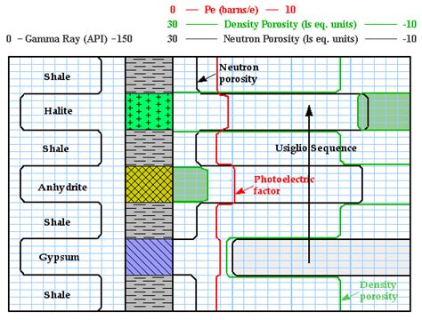 Neutron Porosity Logging Tool