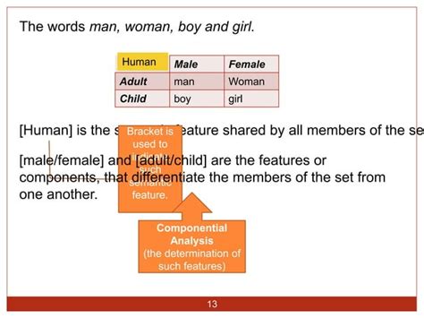 Lexical Relations In Semantic Pptx Genealogy And Ancestry Hobbies And Interests