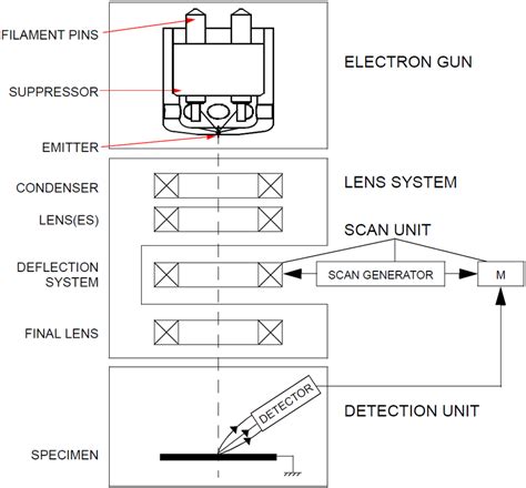 15 Scanning Electron Microscope Schematic Overview Download Scientific Diagram