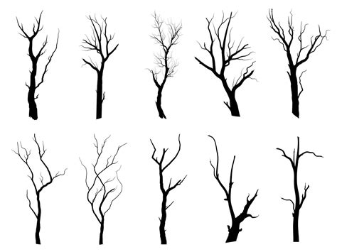 Black Branch Tree Or Naked Trees Silhouettes Hand Drawn Isolated Illustrations 26535888 Vector