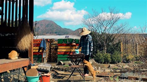 단순한 시골생활이 주는 기쁨~ Youtube