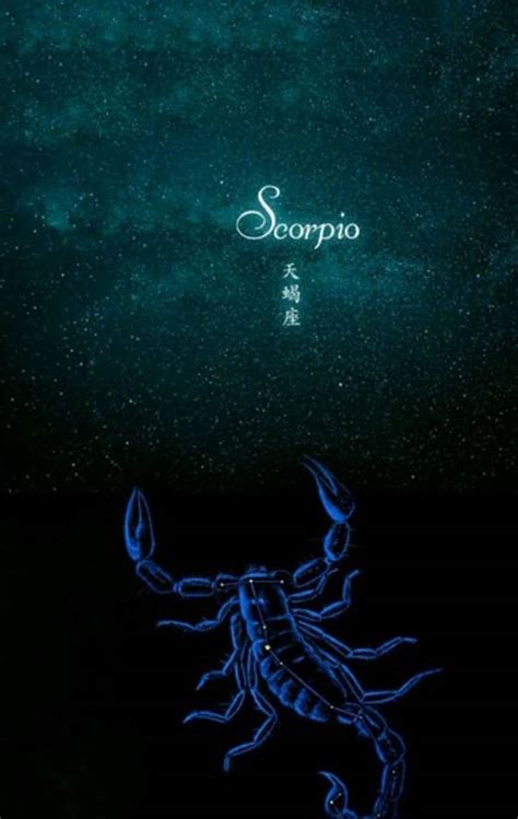 最专情也最绝情的星座 上升摩羯座专情吗 2345实用查询