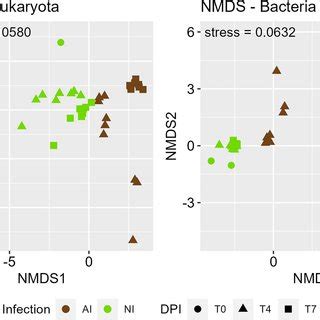 Nonmetric Dimensional Scaling NMDS Based On Euclidean Distances Of Download Scientific