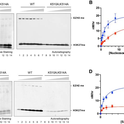 Excessive Nucleosomal Substrates But Not Sam Rescued The Catalytic