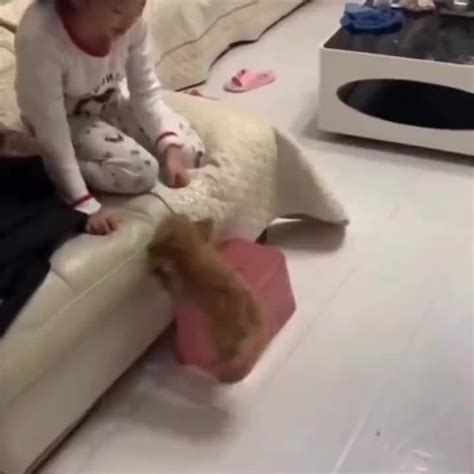 Coding Dsa On Linkedin Cs Enthusiasts Are You Ready To Supercharge Your Javascript With